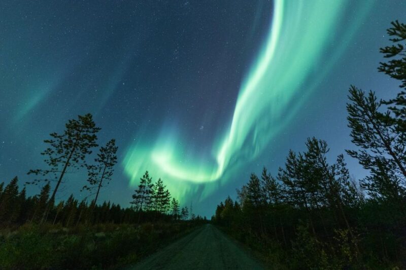 Ii: Snowmobile sleigh trip on frozen sea under starlit sky - Who Should Consider This Tour?