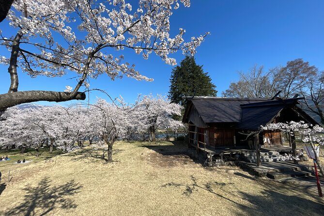 Iiyama Castle Cherry Blossom and Nozawa Onsen Morning Tour - Key Points