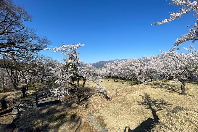 Iiyama Castle Cherry Blossom and Nozawa Onsen Morning Tour - Discovering the Beauty of Iiyama and Nozawa Onsen
