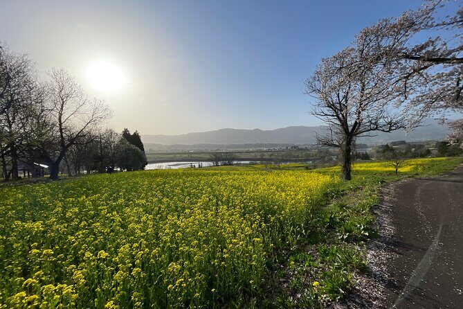 Iiyama Castle Cherry Blossom and Nozawa Onsen Morning Tour - What to Expect at Each Stop