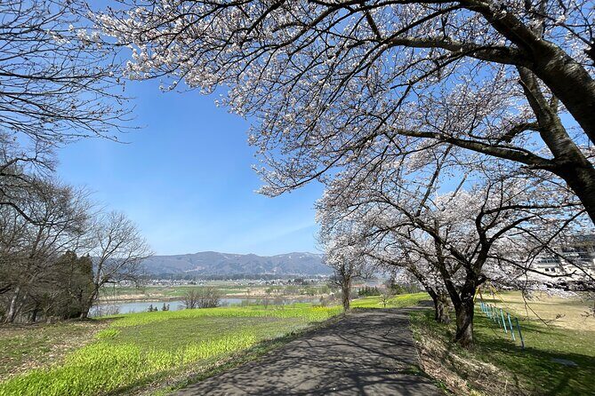 Iiyama Castle Cherry Blossom and Nozawa Onsen Morning Tour - Authenticity and Cultural Touches