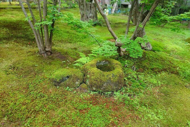 Iiyama Temple and Sake Brewery Day Trip from Nagano - Evaluating the Cost and Value