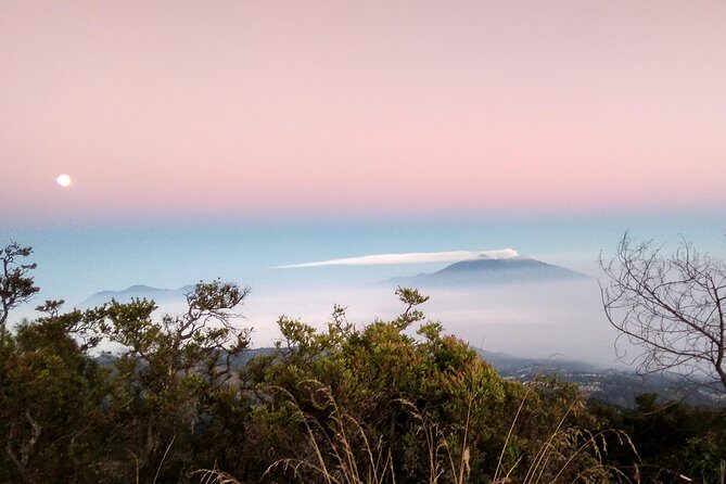 Ijen Crater Tour - Discovering the Ijen Crater: What to Expect