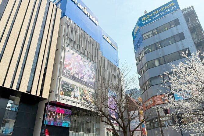 Ikebukuro Anime and Game Culture Experience Tour - Exploring Ikebukuro’s Otaku Scene in Depth