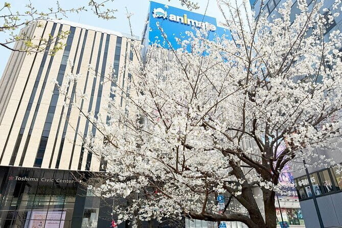 Ikebukuro Anime and Game Culture Experience Tour - Why This Tour Is Worth Considering