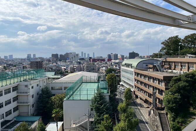 Ikegami Honmonji Temple Walking Tour in Tokyo - Who Is This Tour Best For?