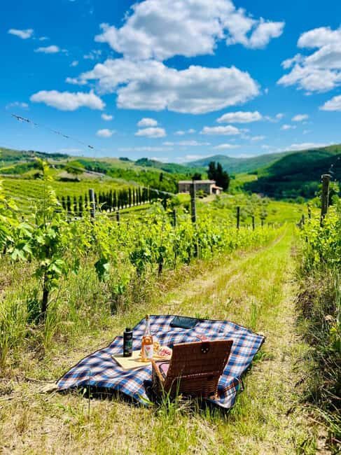 Il Molino di Grace: Vineyard Tour, Wine Tasting, and Picnic - Practical Details: What You Need to Know