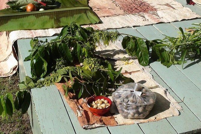 'Ilaheva Private Museum Tour with Tongan Medicine & Tongan Beauty Product - Key Points
