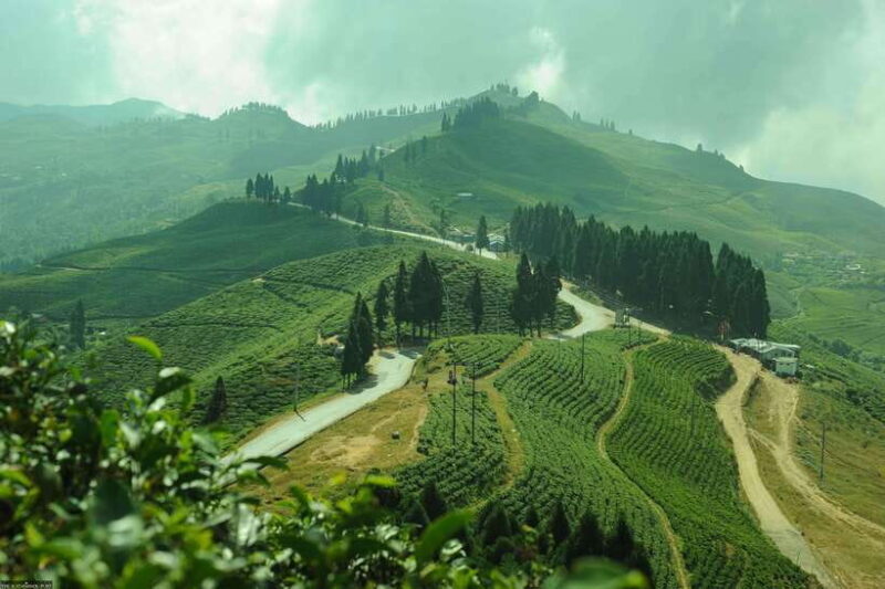 Ilam: 7-Day Luxury Tea Garden Stay in Illam - What’s Included and Why it Matters