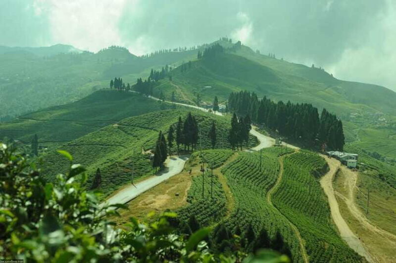Ilam: 7-Day Luxury Tea Garden Stay in Illam - Who Should Consider This Tour?
