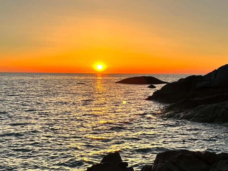 Ile-Rousse, Corsica: Gourmet catamaran excursion at sunset - Reviews Highlights
