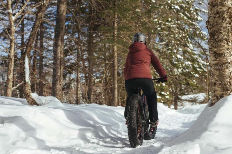 Îles-de-Boucherville: Park Entry w/ Fat-bike & Snowshoeing - Key Points
