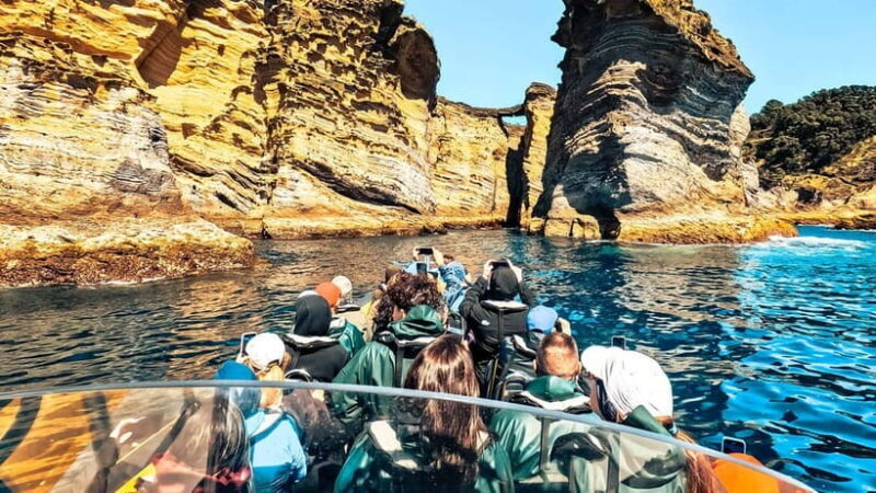 Ilhéu de Vila Franca: Guided Eco Boat Tour with Biologist - Exploring the Wonders of Ilhéu de Vila Franca: An Authentic Eco Boat Tour with a Marine Biologist