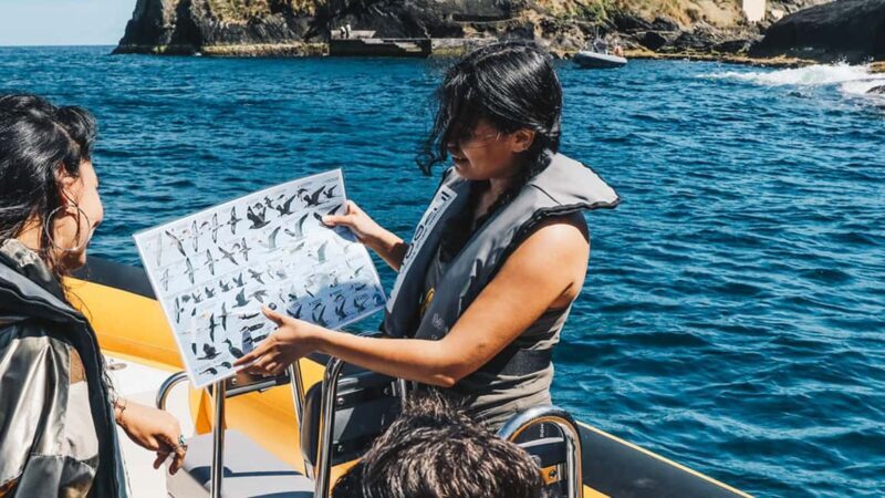 Ilhéu de Vila Franca: Guided Eco Boat Tour with Biologist - Key Points