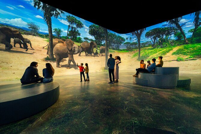 Illuminarium Las Vegas - A Look Inside Illuminarium Las Vegas