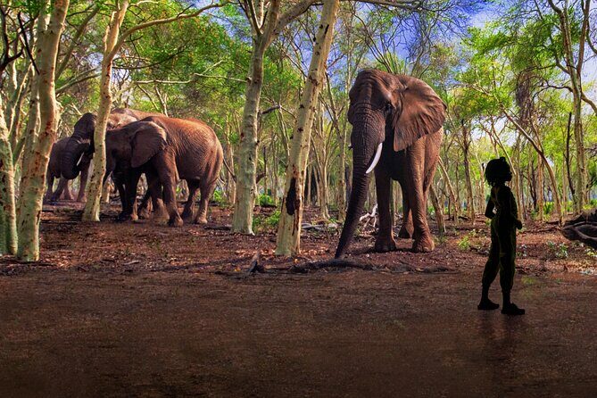 Illuminarium Las Vegas - Is It Worth the Price?