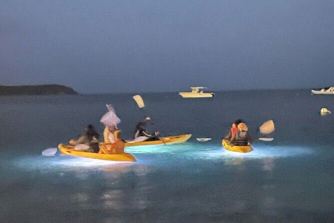 Illuminated Night Kayaking at the Elysian Resort - The Experience in Detail