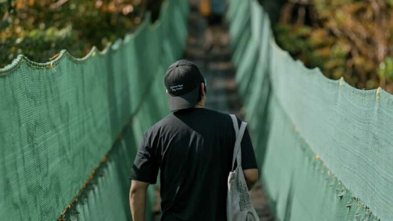 Iloilo: Balay Tablea, Calle Real & Damires Hills Tour - Who Will Love This Tour?