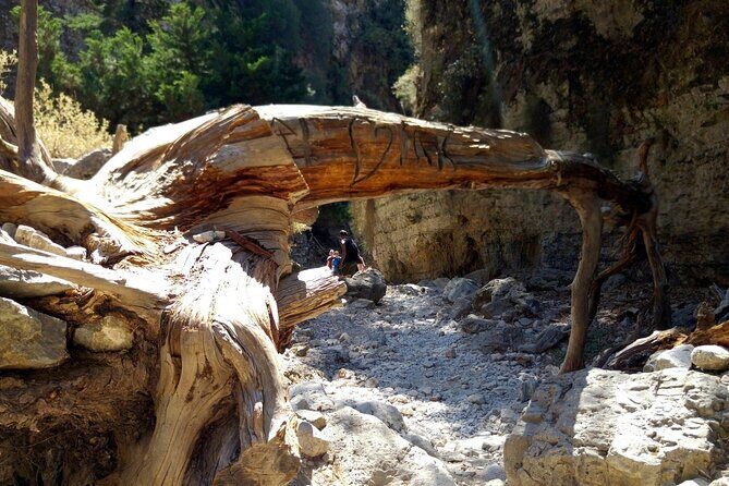 Imbros Gorge Adventure Day Trip from Chania - The Sum Up