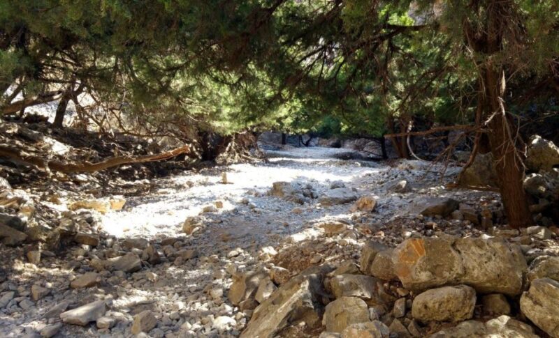 Imbros Gorge Hike From Rethymno - Authenticity and Traveler Tips