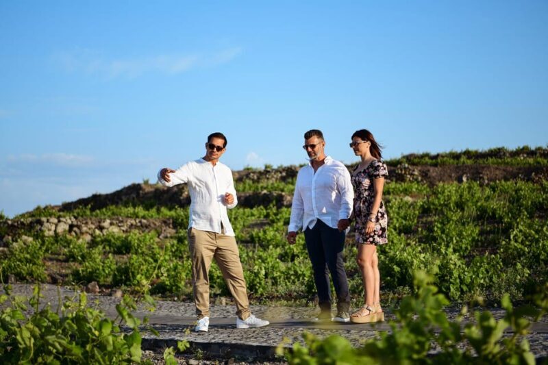 Imerovigli: Premium Wine Tasting with Caldera and Sea Views - What’s Not Included? Practical Details