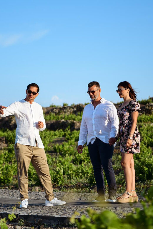 Imerovigli: Premium Wine Tasting with Caldera and Sea Views - Analyzing the Value: Is It Worth It?