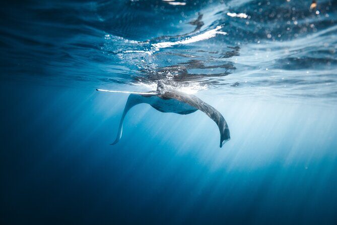 'Imiloa Express N Pali Snorkel Tour - FAQs