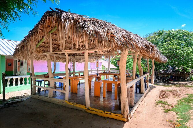 Immerse in Dominican Culture: Private Community Tour - A Comprehensive Breakdown of the Experience