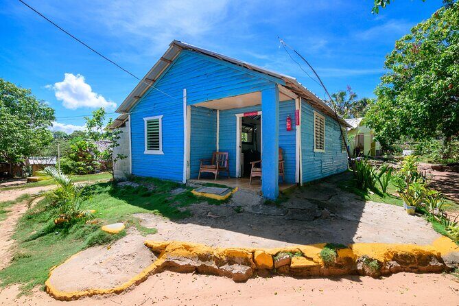 Immerse in Dominican Culture: Private Community Tour - The Sum Up: Who Should Consider This Tour?