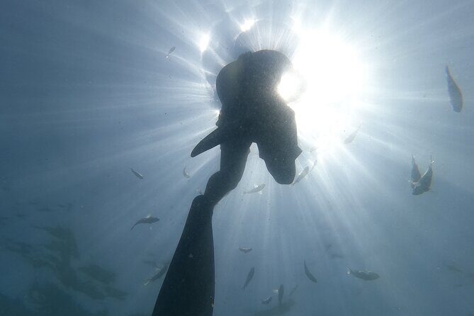 Enjoy paradise: Hidden Beach Snorkeling Adventure - The Itinerary’s Highlights and Pitfalls