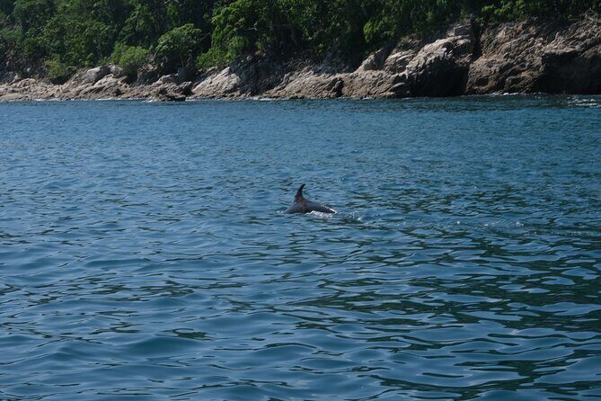 Enjoy paradise: Hidden Beach Snorkeling Adventure - Who Might Not Find It Perfect?