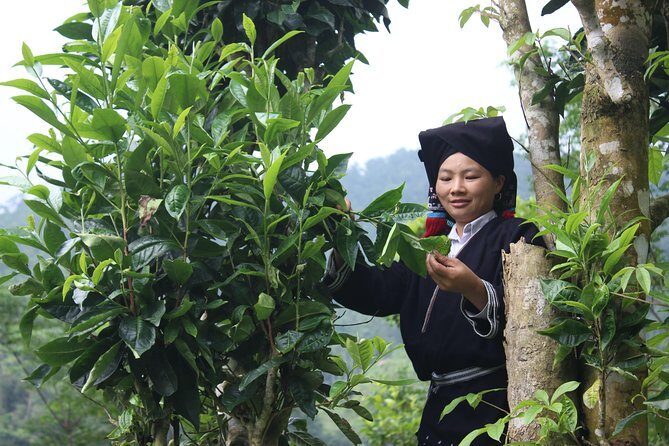 Enjoy the authentic live of Dao Tien people 2D1N - Authentic Experiences That Stick