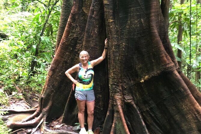 Immerse Yourself In The Natural Beauty of Vermont Nature Trails - A Practical Guide to Vermont Nature Trails