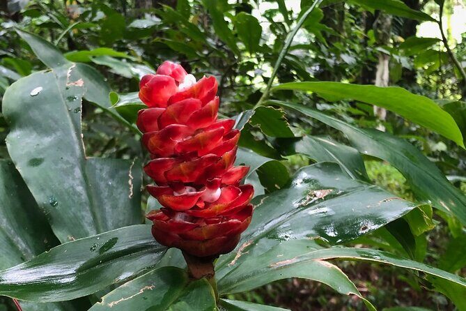 Immerse Yourself In The Natural Beauty of Vermont Nature Trails - Final Thoughts