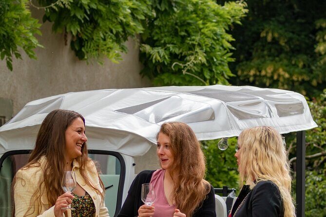 Immersion in the Geneva vineyards by tuktuk with tasting - Who Will Love This Tour?