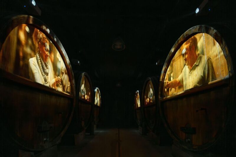 Immersive cellar tour, tasting and board meal - Key Points