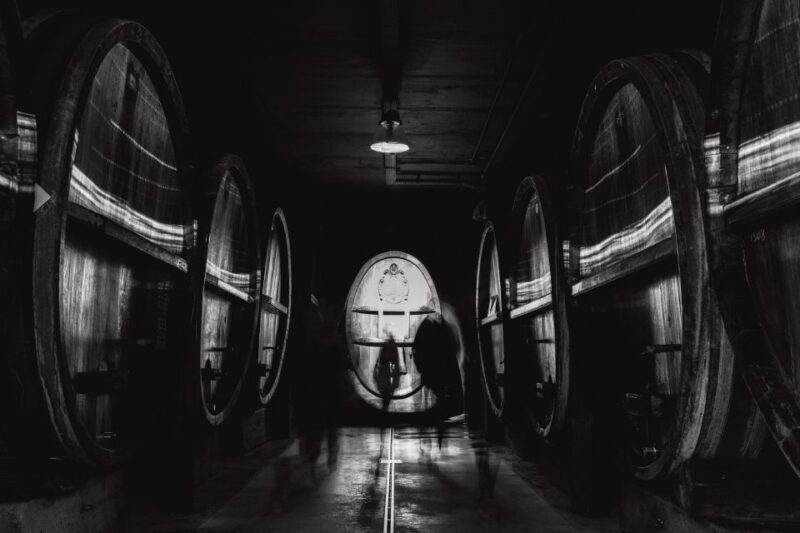 Immersive cellar tour, tasting and board meal - The Experience: What to Expect and Why It Matters