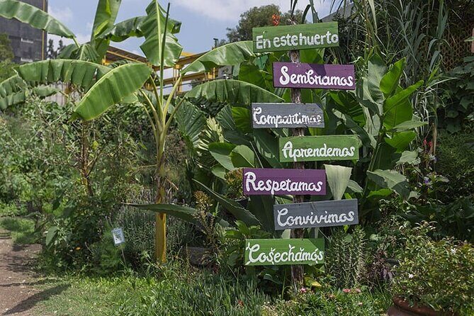 Immersive Cultural Tlatelolco Tour - Who Should Consider This Tour?