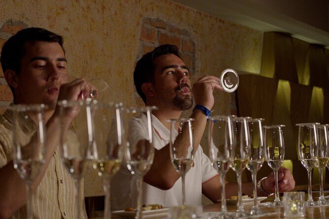 Immersive Experience & Tequila Tasting in Puerto Vallarta - An In-Depth Review: Why This Tour Matters