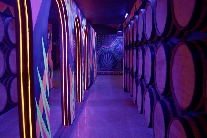 Immersive Experience & Tequila Tasting in Puerto Vallarta - Detailed Breakdown of the Itinerary