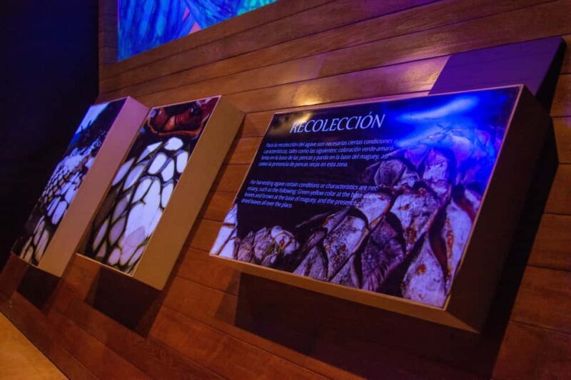 Immersive Experience & Tequila Tasting in Puerto Vallarta - What the Tour Includes and How It Breaks Down