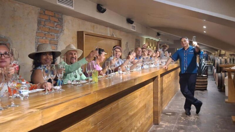 Immersive Experience & Tequila Tasting in Puerto Vallarta - Who Will Enjoy This Tour?