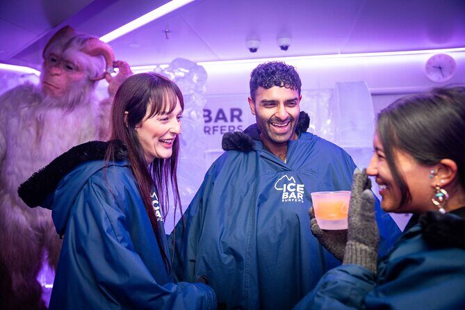 Immersive Ice Bar Experience and Drinks - Value and Overall Impression