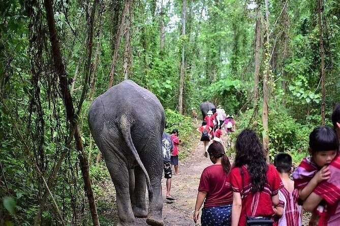 Immersive Kerchor Elephant Sanctuary Eco Park in Karen Tribe life - FAQ