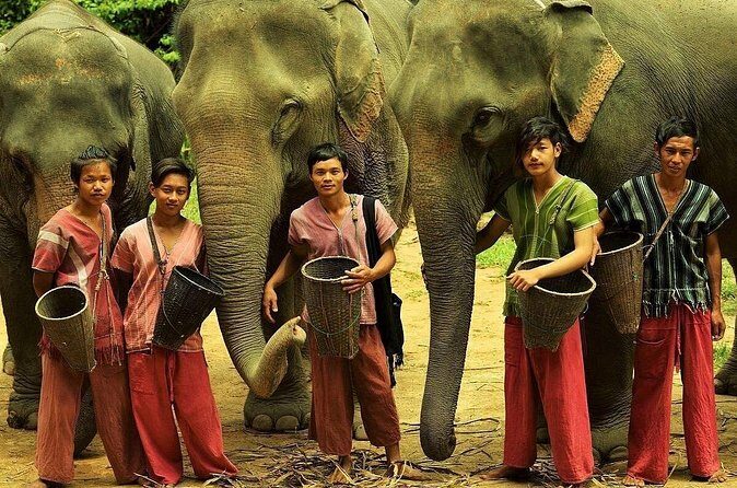 Immersive Kerchor Elephant Sanctuary Eco Park in Karen Tribe life - The Sum Up