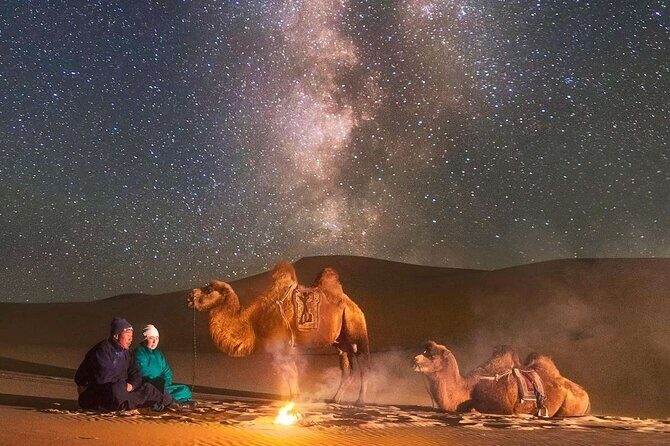 Immersive Mongolian Gobi experience, Camel, Cousine, Stargaze, 2D - Who Will Love This Tour?