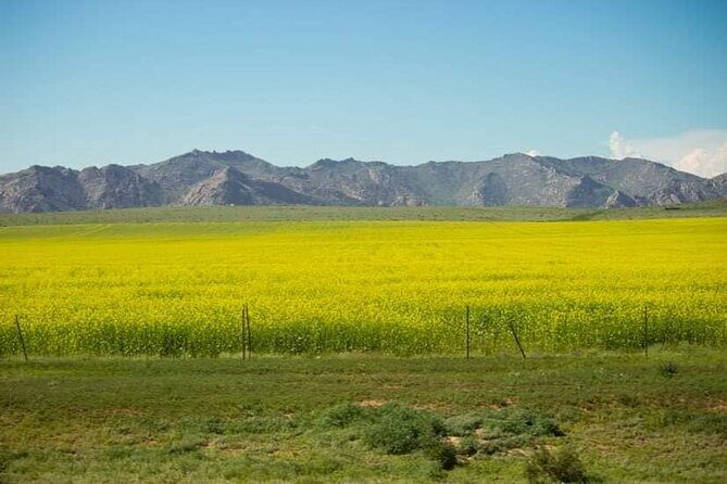 Immersive Mongolian Gobi experience, Camel, Cousine, Stargaze, 2D - Final Thoughts: Who Is This Tour For?