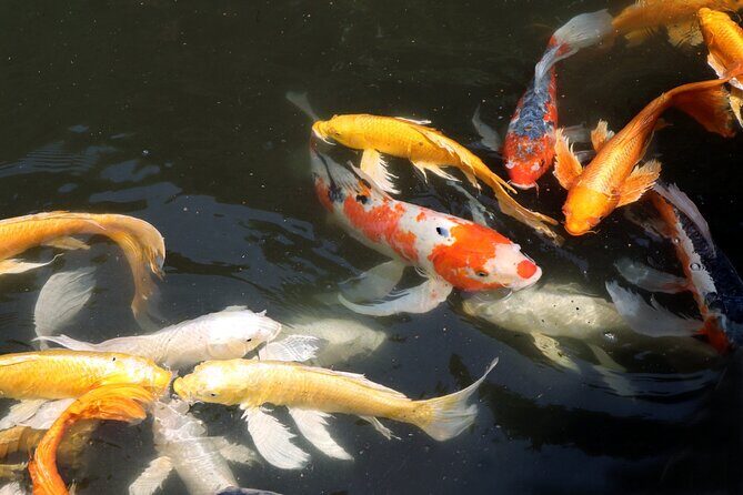 Imperial Palace East Garden and Heritage of Edo Castle Tour - How This Tour Offers Value