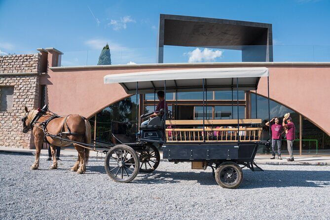 In a carriage among the vineyards, visit of the cellar, tasting of organic wines. - A Scenic Ride into Tuscany’s Organic Heartland
