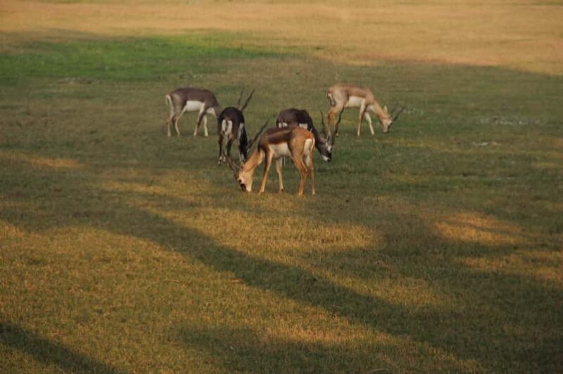 In Agra: Private Akbars Tomb, Mariams Tomb & Gurdwara Tour - Final Thoughts